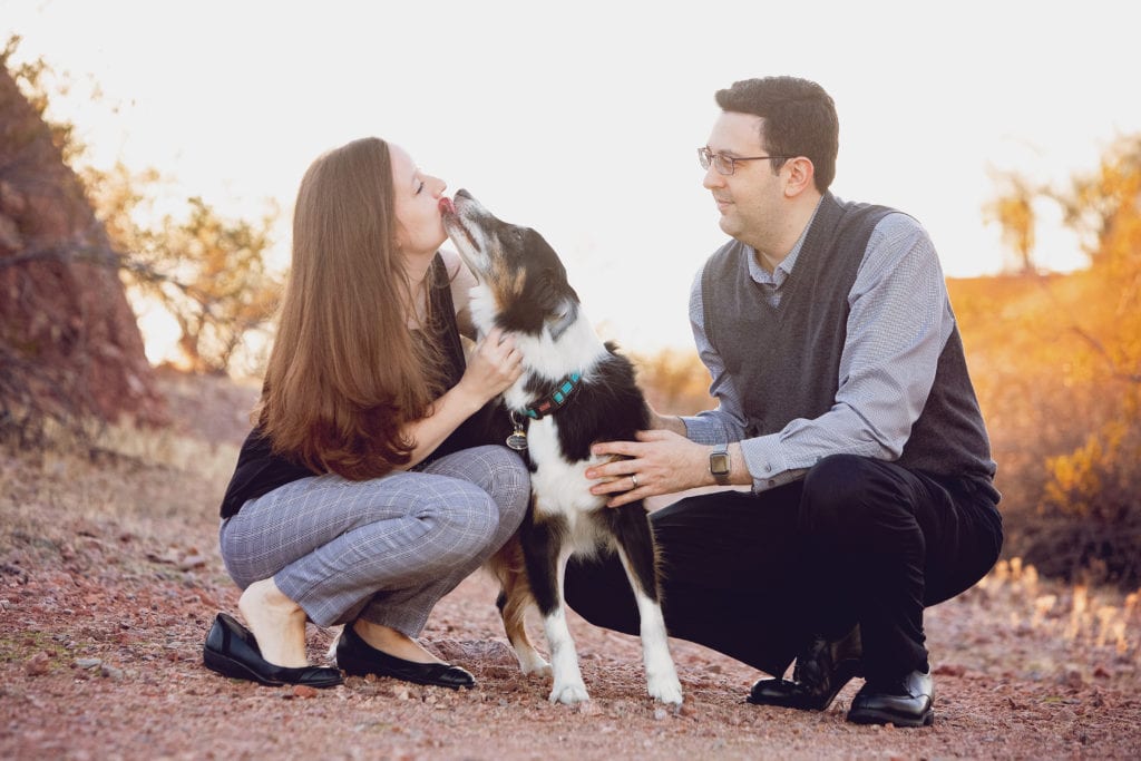 Best Veterinary Hospital In Phoenix, AZ - Desert Ridge Animal Hospital